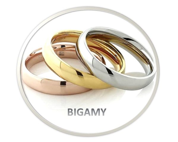 Bigamy - TheLawmatics